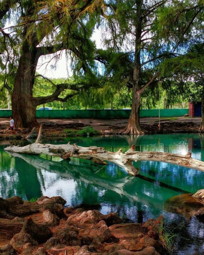 Los Ahuehuetes, un balneario al natural - Cover Media