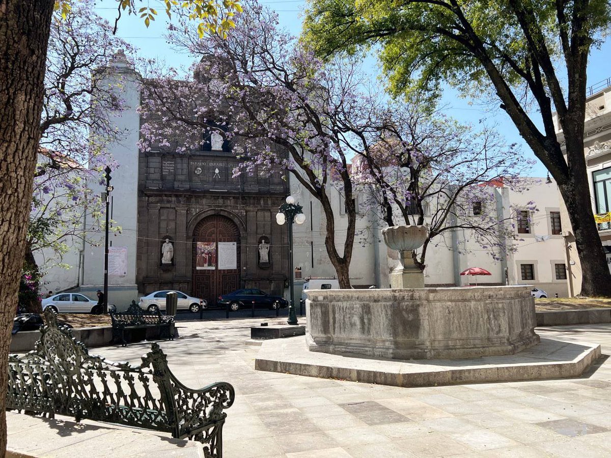 6 icónicos jardines y parques del Centro de Puebla - Cover Media