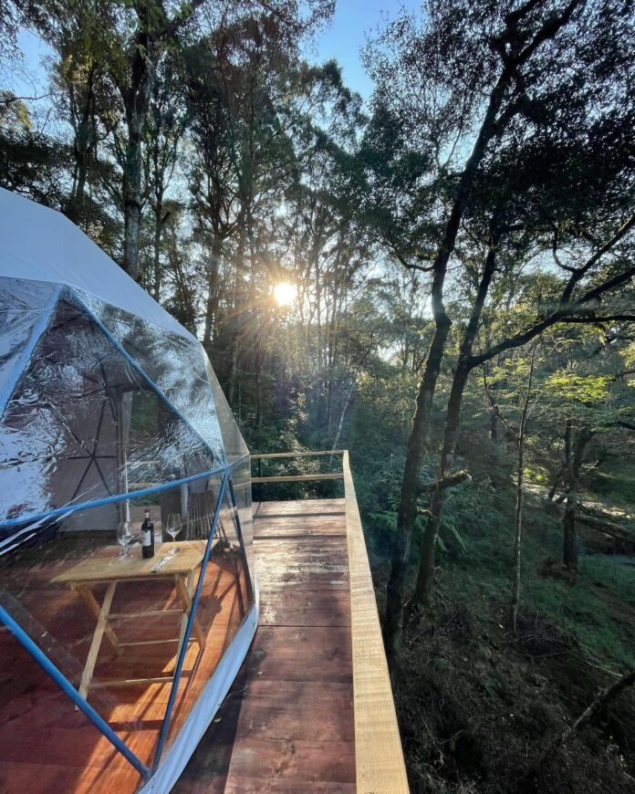 Hospédate como nunca: Glamping en Zacatlán - Cover Media