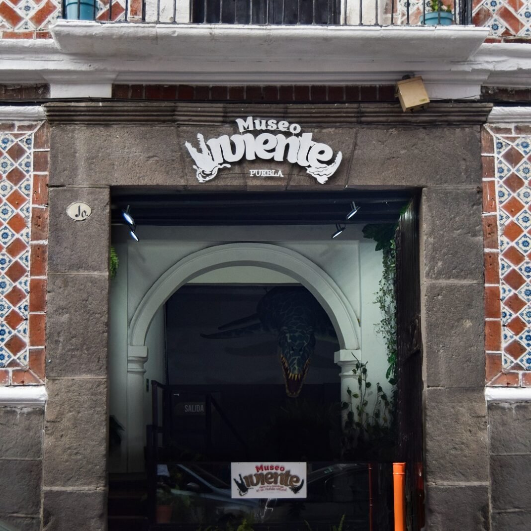 El único Museo en Puebla que está vivo - Cover Media